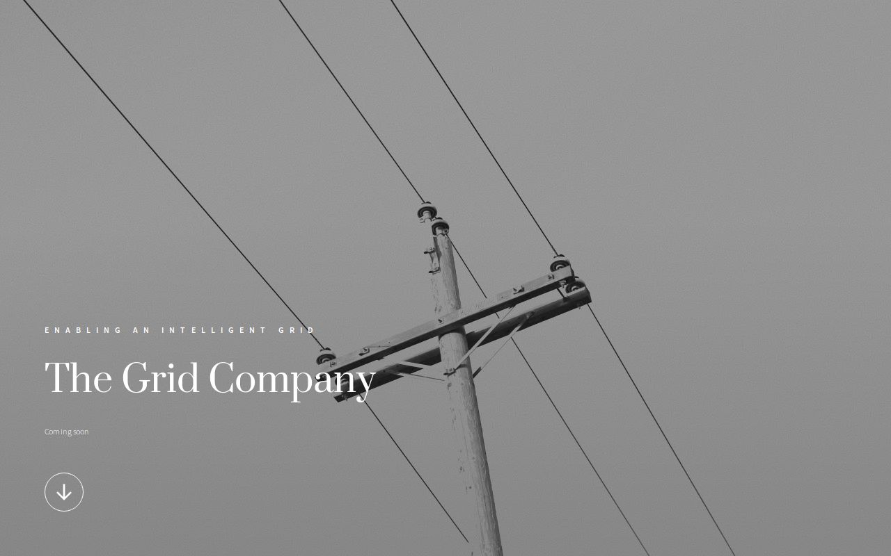 The Grid Company